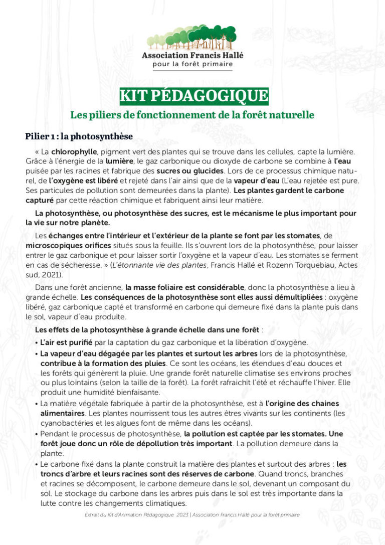 Kit pédagogique : parler de la forêt aux plus jeunes – Association ...